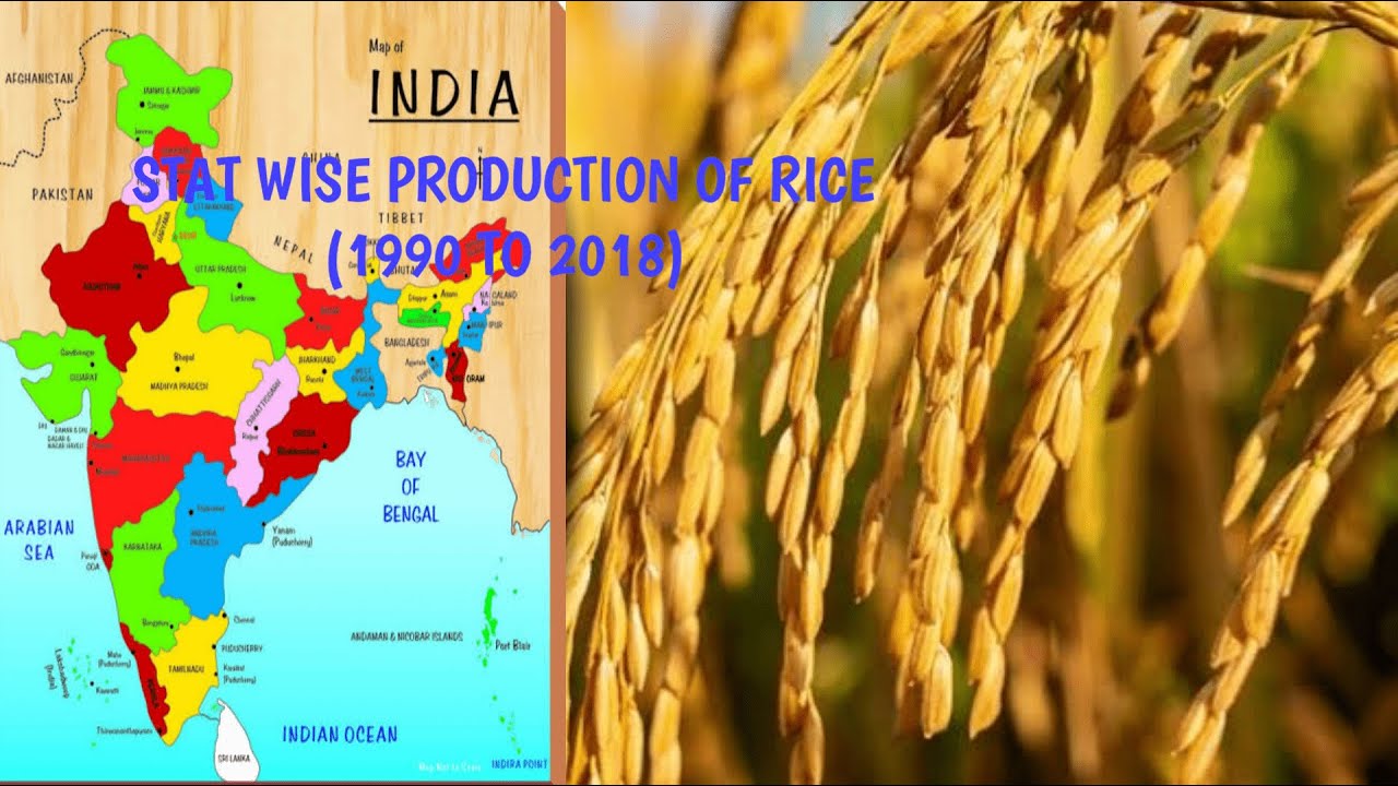 INDIAN STATE-WISE PRODUCTION OF FOODGRAINS - RICE - YouTube