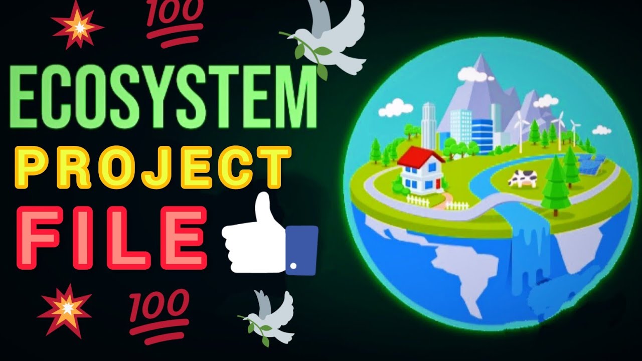 Project File on Ecosystem//How to make project file on Ecosystem # ...