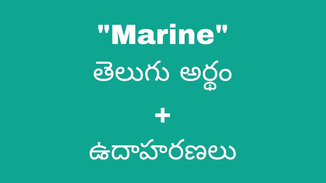 Marine Meaning In Telugu With Examples Marine 