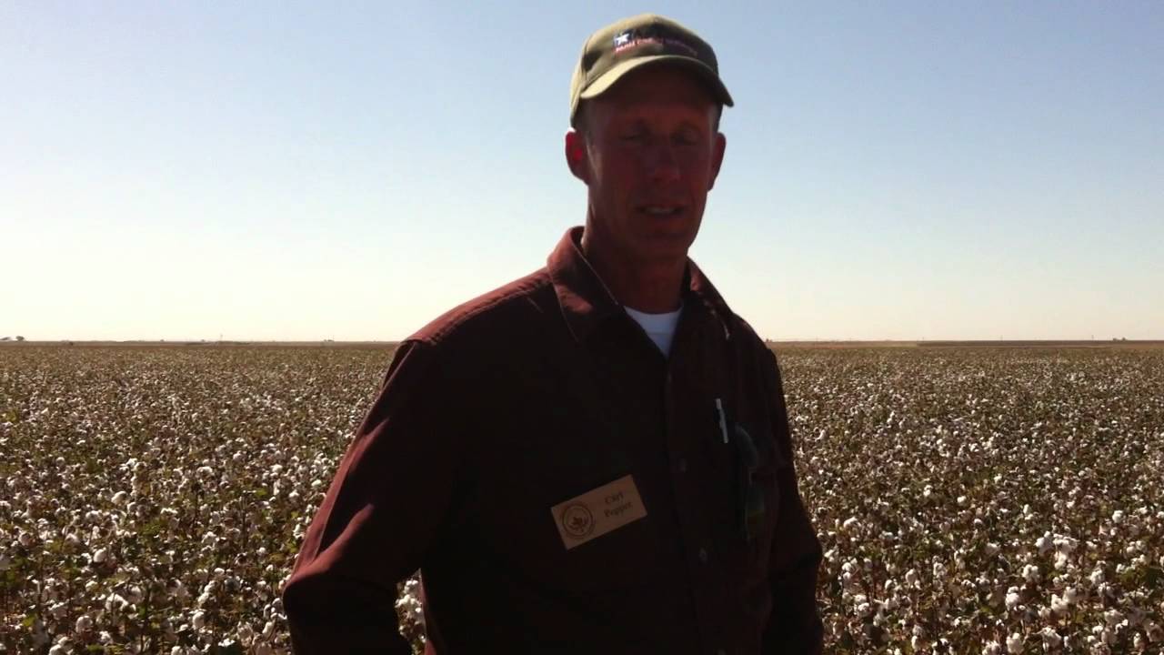 Carl Pepper, VP of TOCMC - YouTube