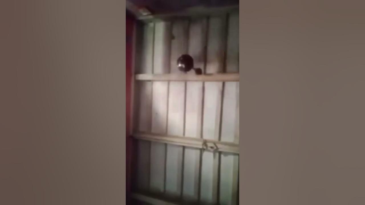 Sonagachi #inside Story ️ বাংলায় Heartfelt গল্প ️ HEADPHONES #explore #youtube #love#edsa@life ...