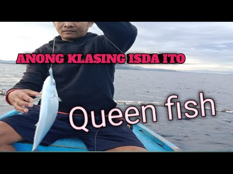 OVERNIGHT FISHING, BINILI NG MAGANDANG DILAG ANG AMING HULI ...