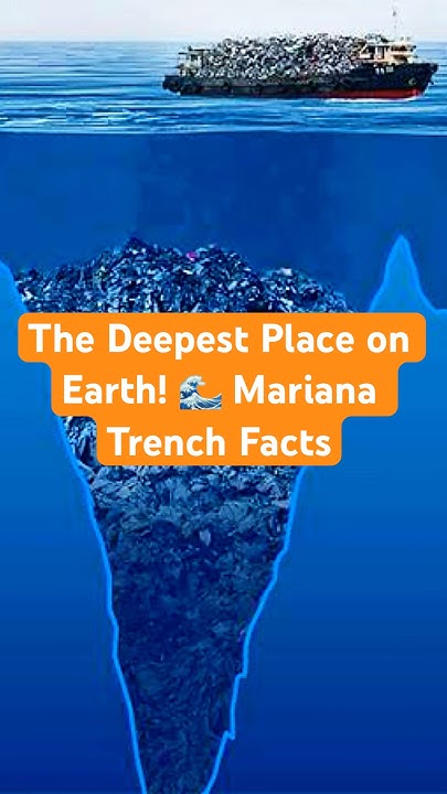 The Deepest Place on Earth! Mariana Trench Facts #youtubeshorts #shorts ...