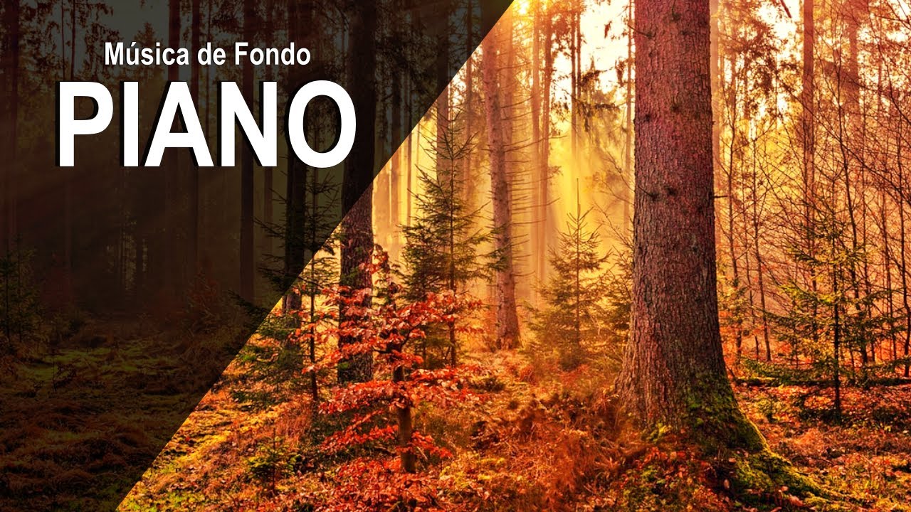 🎵 Música Tranquila para Videos 🎵 Música de Fondo | Piano Relajante ...