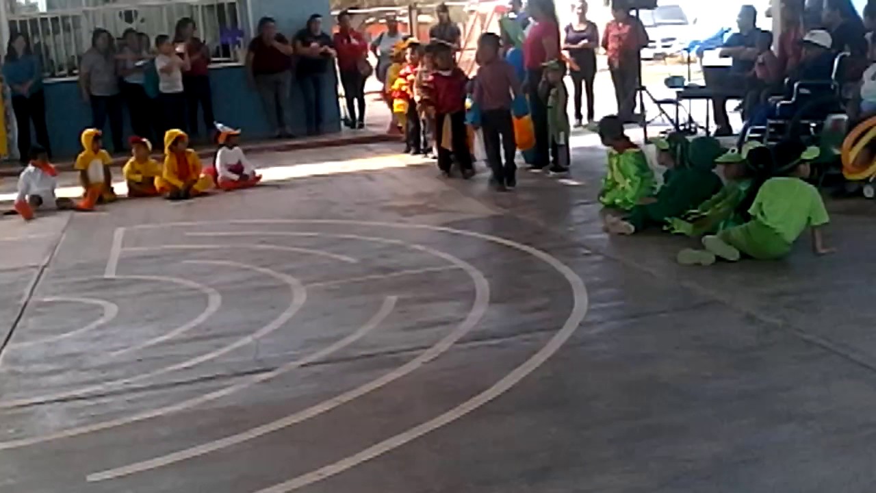 Ejido colima - YouTube