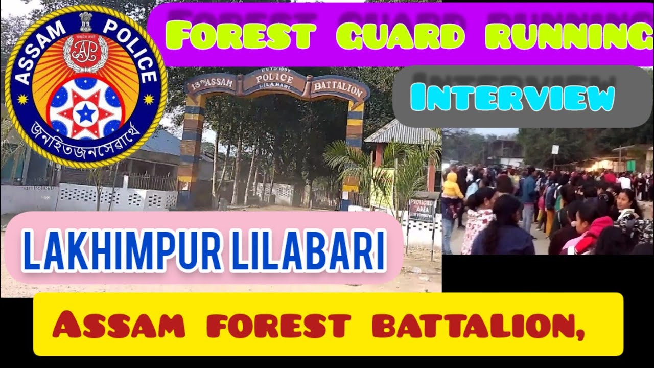 Assam forest battalion, forest guard afpf🔥running/ Lakhimpur Lilabari ...