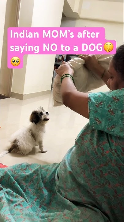 Every Indian Mom who doesn’t want dog 🐶 🫣 #trending #shorts #viral #mom ...