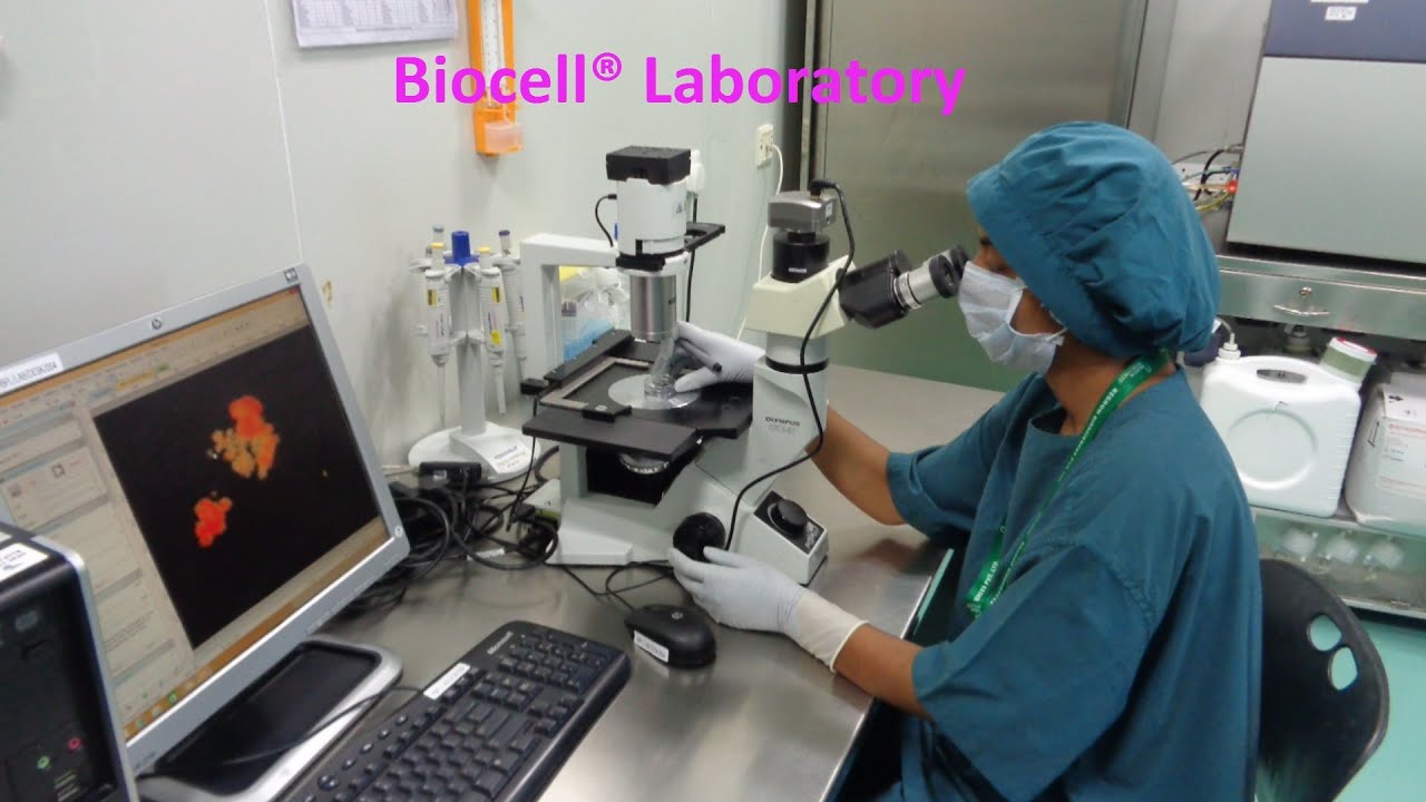 Biocell® Lab | Virtual Lab Tour | Cord Blood Preservation Facility ...