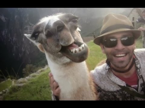 Gülelim mi Ağlayalım mı Şaşıracaksınız