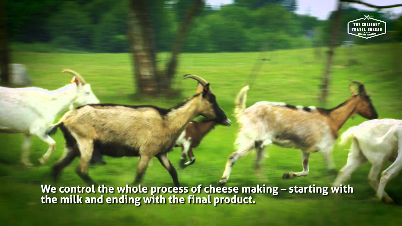 Polish "Golden Goat Farm" - YouTube