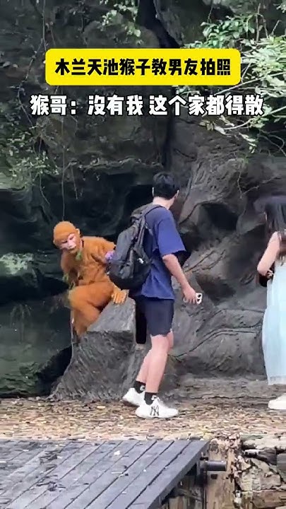 论给女朋友拍照的正确手法，实在看不过去了家人们，只能亲自出马了！中国 搞笑 Youtube