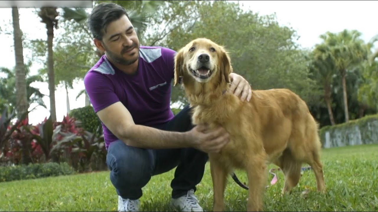 I'm Yunity for Dogs- Commercial - YouTube