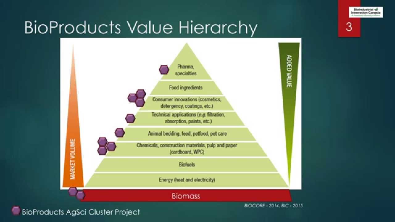 Bioindustrial Innovation Canada: Discussing its Vision for a Biomass ...