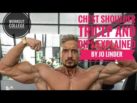 CHEST/ SHOULDER/ TRICEP/ DIPS // BY JO LINDER // WORKOUT COLLEGE - YouTube