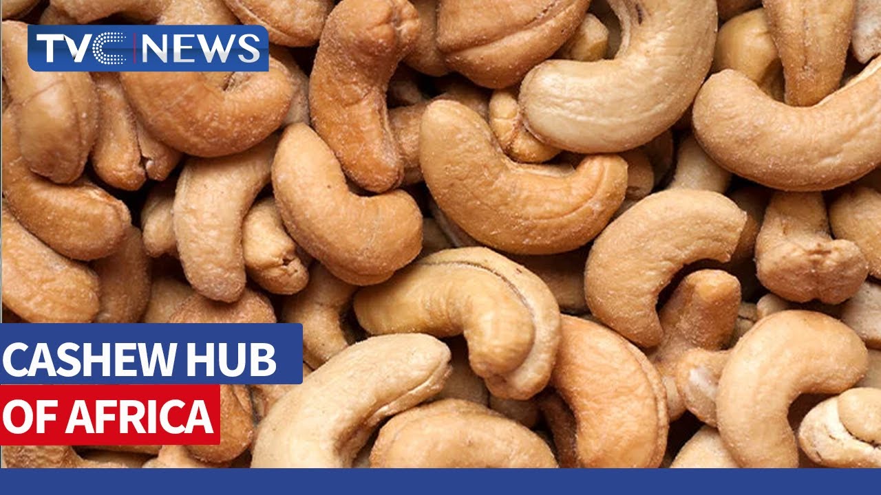 Kogi State Maintains Clear Lead in Nigeria, to Become Hub of Africa ...