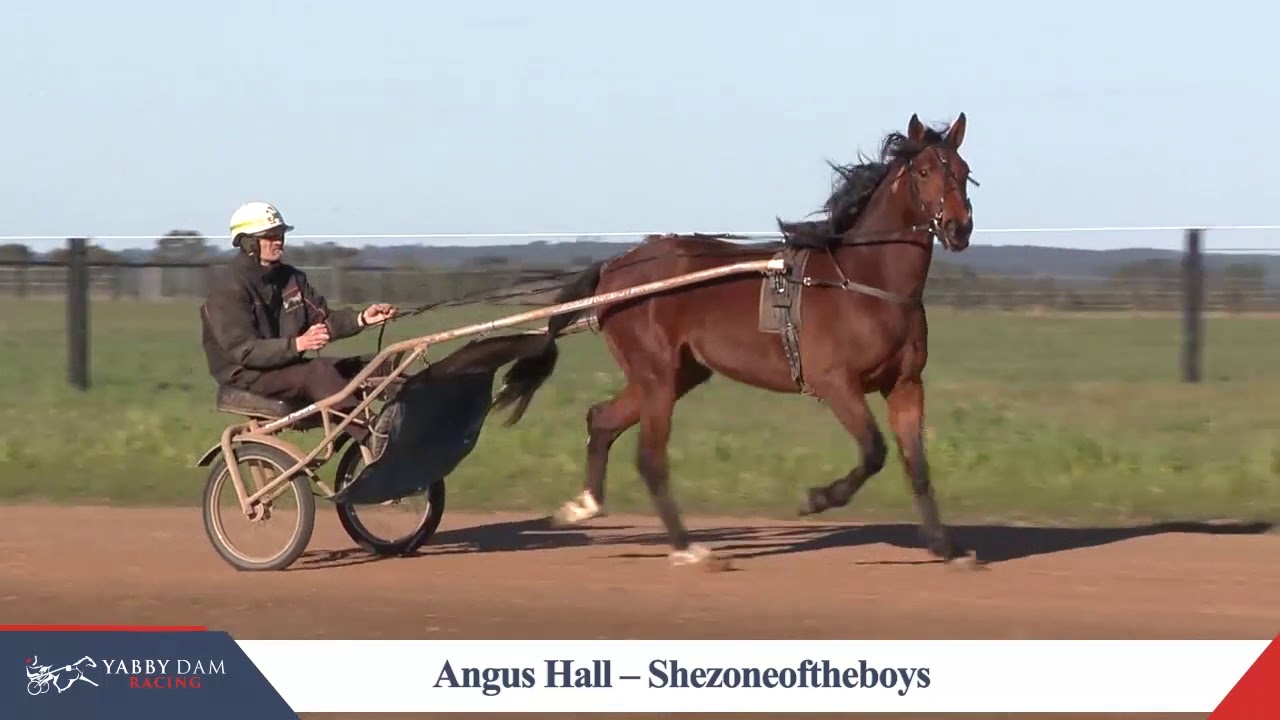 3 Angus Hall – Shezoneoftheboys 1 - YouTube