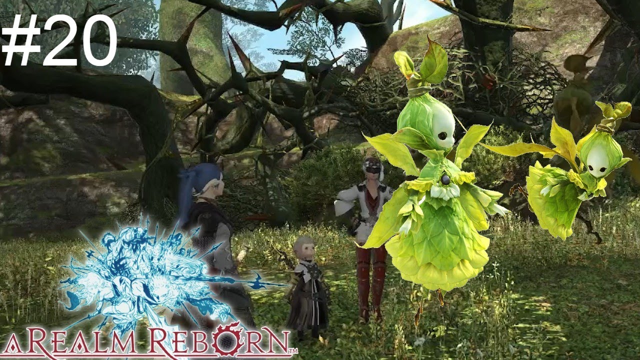 The Choco-Bros play Final Fantasy XIV: Part 20, Welcome To The Forest ...