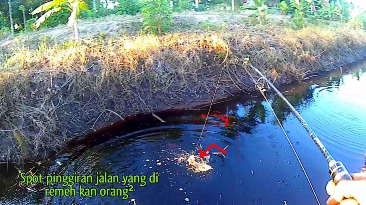 SPOT CASTING IKAN GUBUS YANG BELOM PERNAH DI JAMAH ORANG.!! SPOT ...