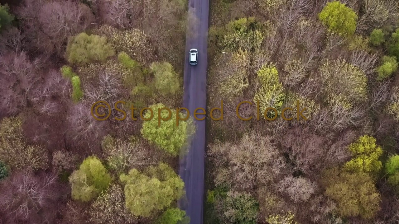 STOCK FOOTAGE - Aerial shot of a car driving down a rural forest road ...