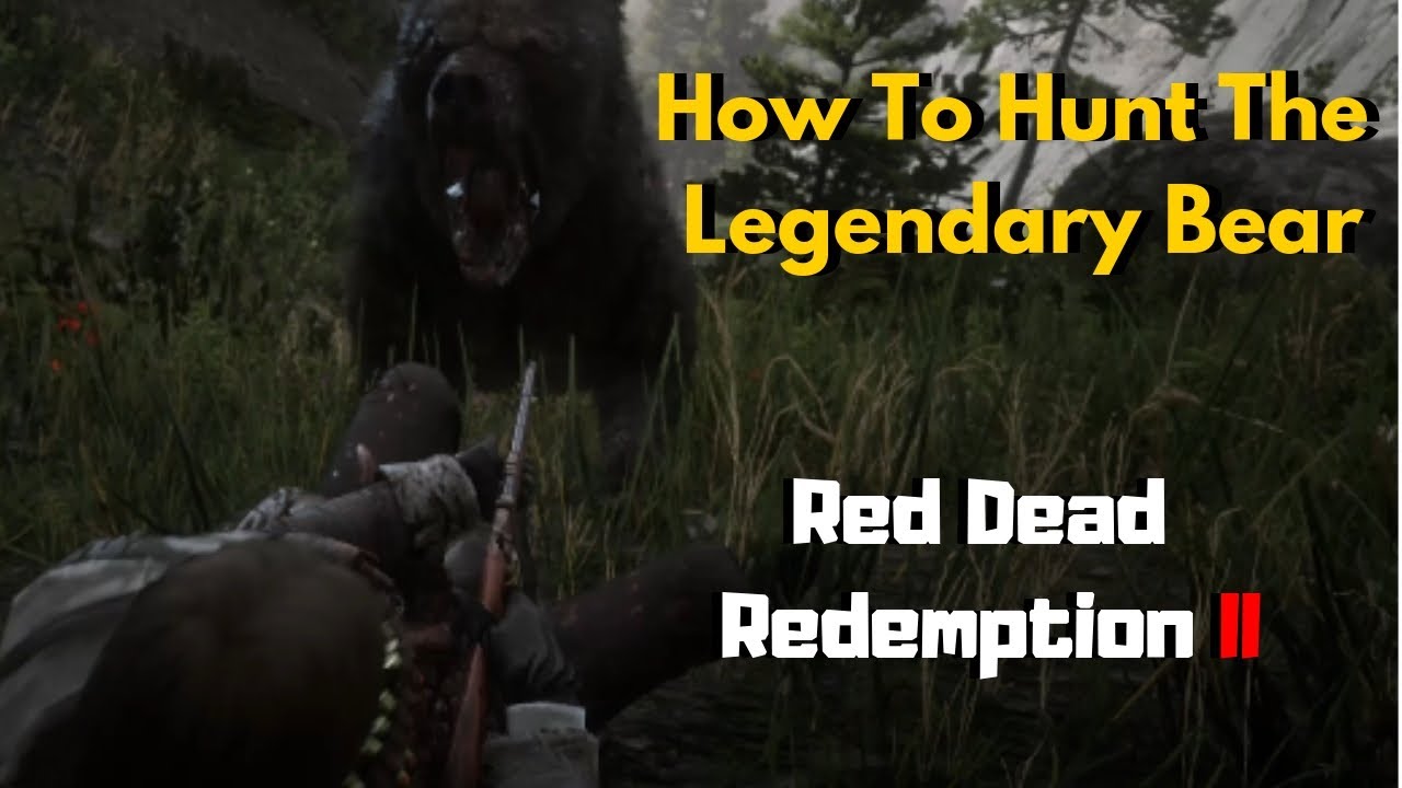How To Find And Kill Legendary Bear Red Dead Redemption 2 - YouTube