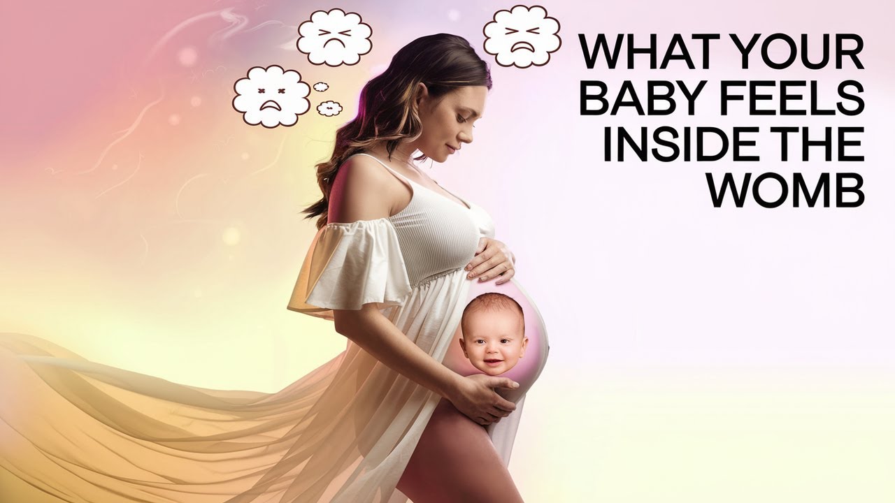 Can a Mother's Emotions Influence Her Baby's Personality Before Birth ...