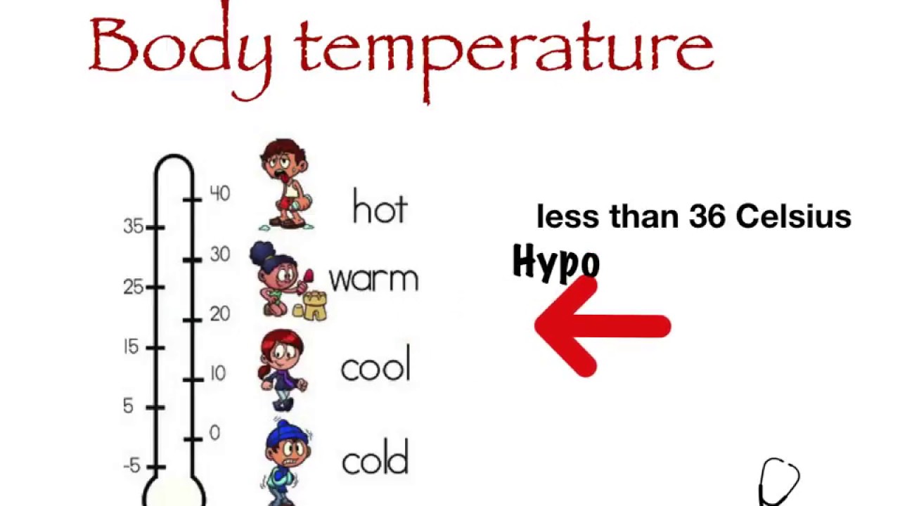 body temperature: vital signs - YouTube