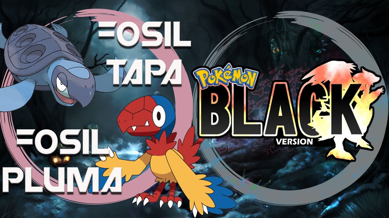Dónde conseguir el Fósil Tapa o Fósil Pluma en Pokemon Negro y Blanco 1 ...