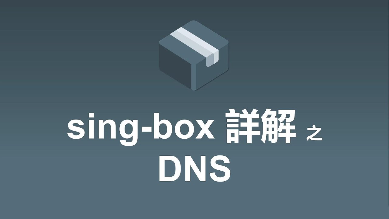 sing-box详解之DNS | 詳細講解sing-box配置文件和運行模式 - YouTube