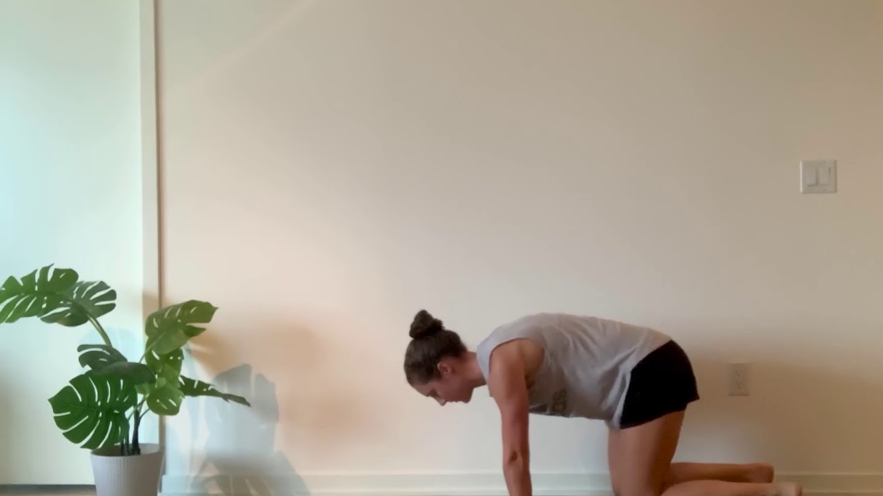 Primal Push-up - YouTube