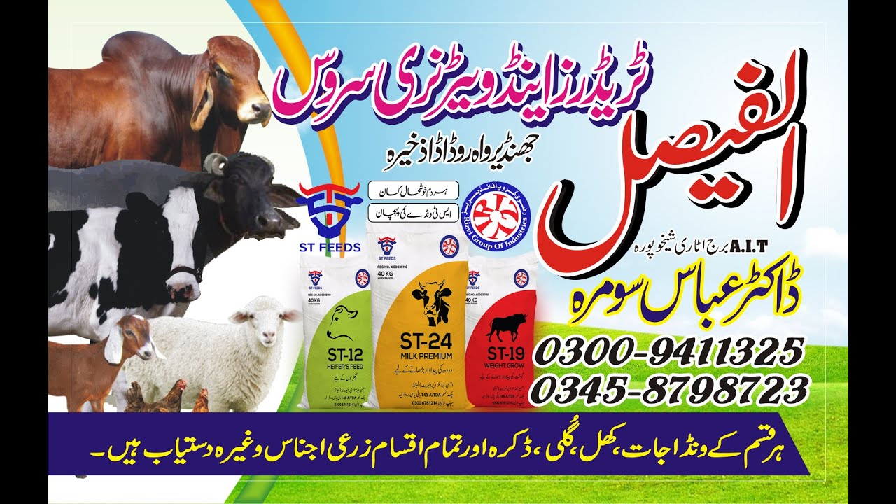 best business card CDR file #Al Faisal traders and veterinary service # ...
