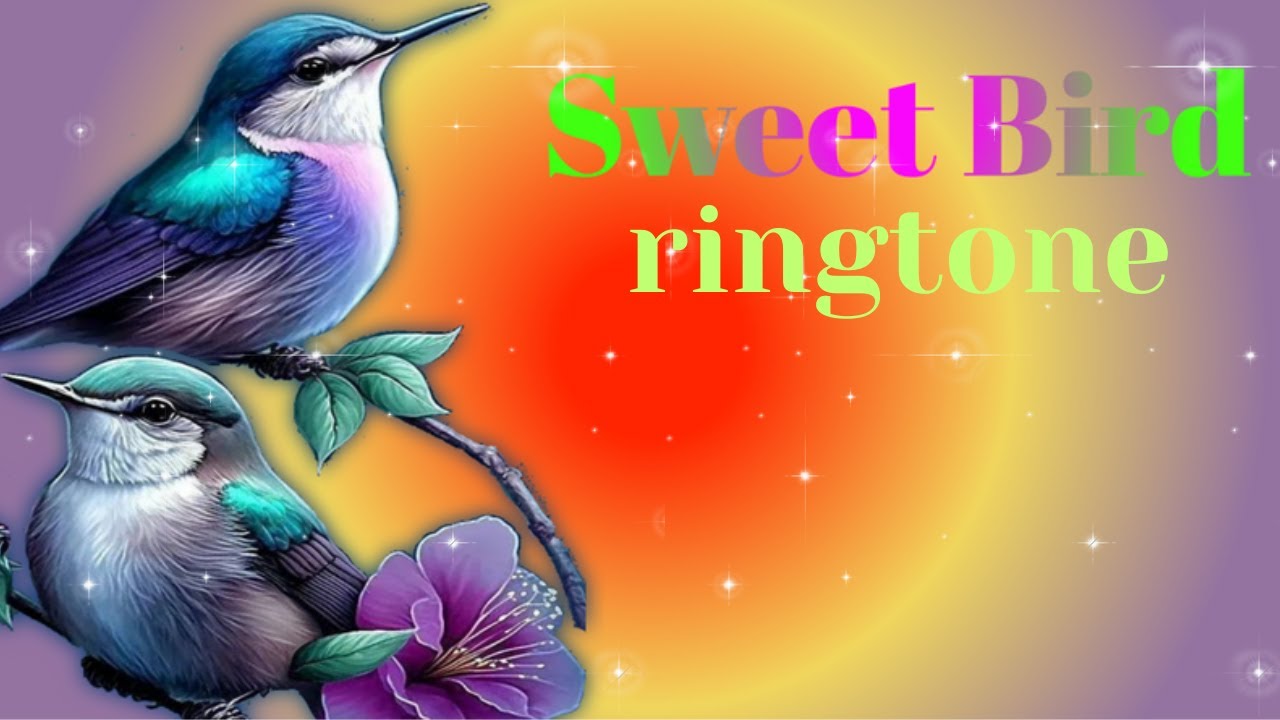 Sweet bird twitter ringtone | morning time ringtone | best alarm ⏰ ...