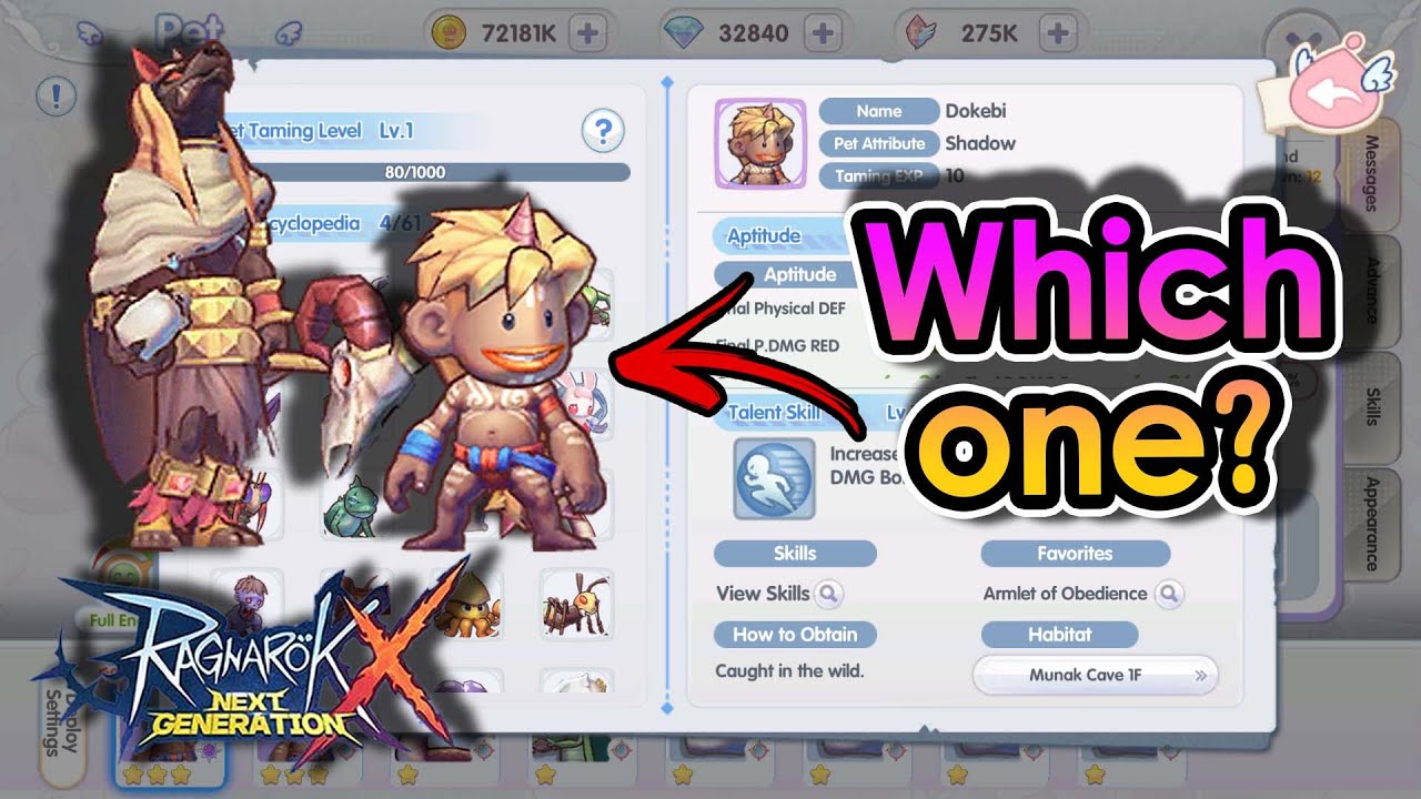 [ROX] Getting A Second Dokebi Pet, Why Not Anubis? | King Spade - YouTube