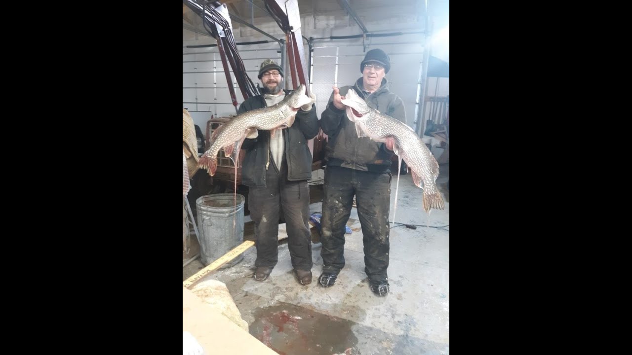 Pike Spearing Excitement Shaky Shaft Addicts - YouTube