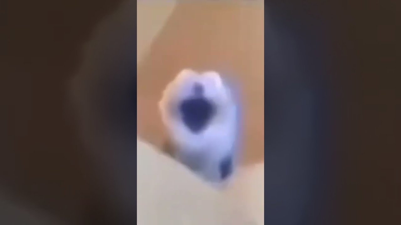 Blue puppet goofy AUGH AUGH moment - YouTube