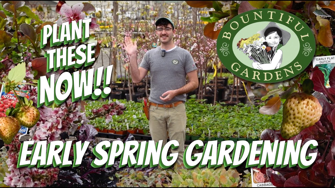 What to Plant in EARLY SPRING! - Fruit & Vegetable Gardening for the ...