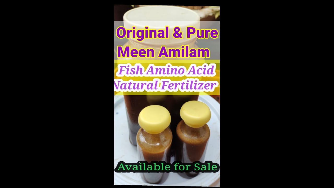 Original & Pure Meen Amilam/Fish Amino Acid Natural Fertilizer | Online ...