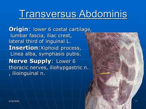 ABDOMINAL INCISION completely A2 - YouTube