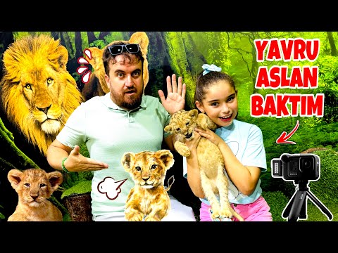 ELİF SİNEM YAVRU ASLANLAR İLE HAFTA SONU VLOG !! HEM KUCAĞINA ALDI HEM BESLEDİ !!