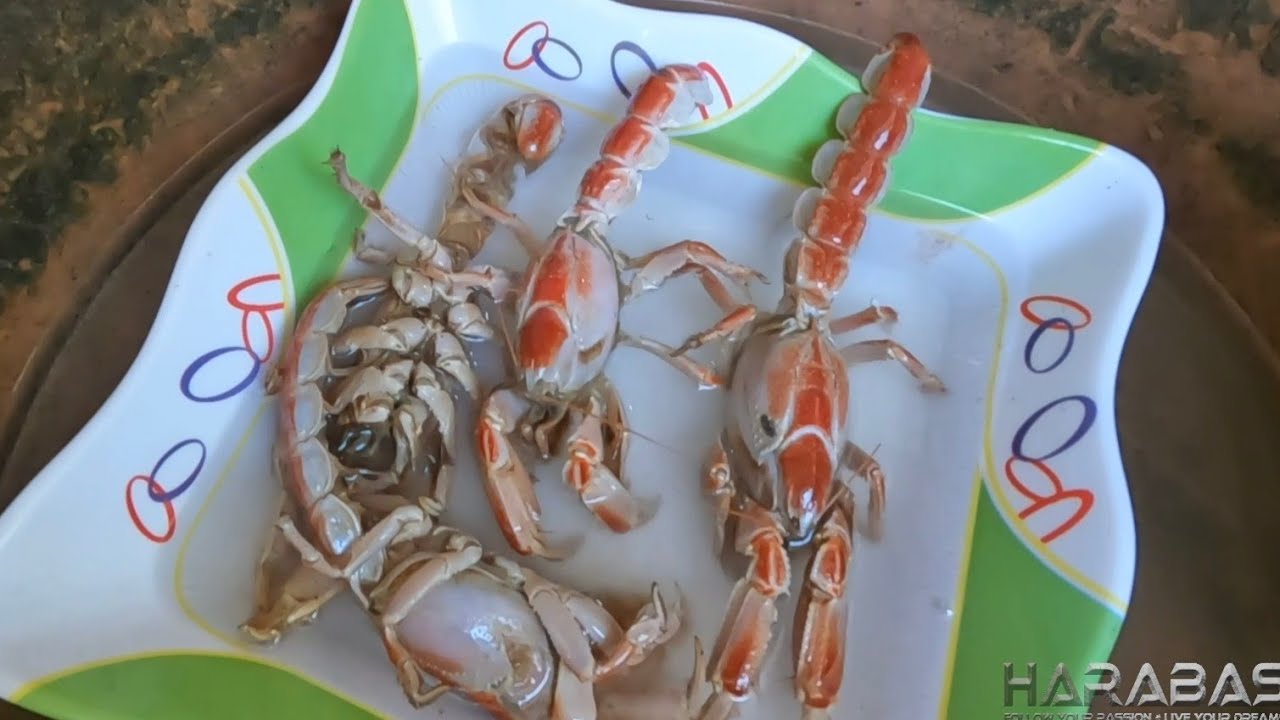 EP703-P2 - Uson-Uson Catch and Cook | Occ. Mindoro - YouTube