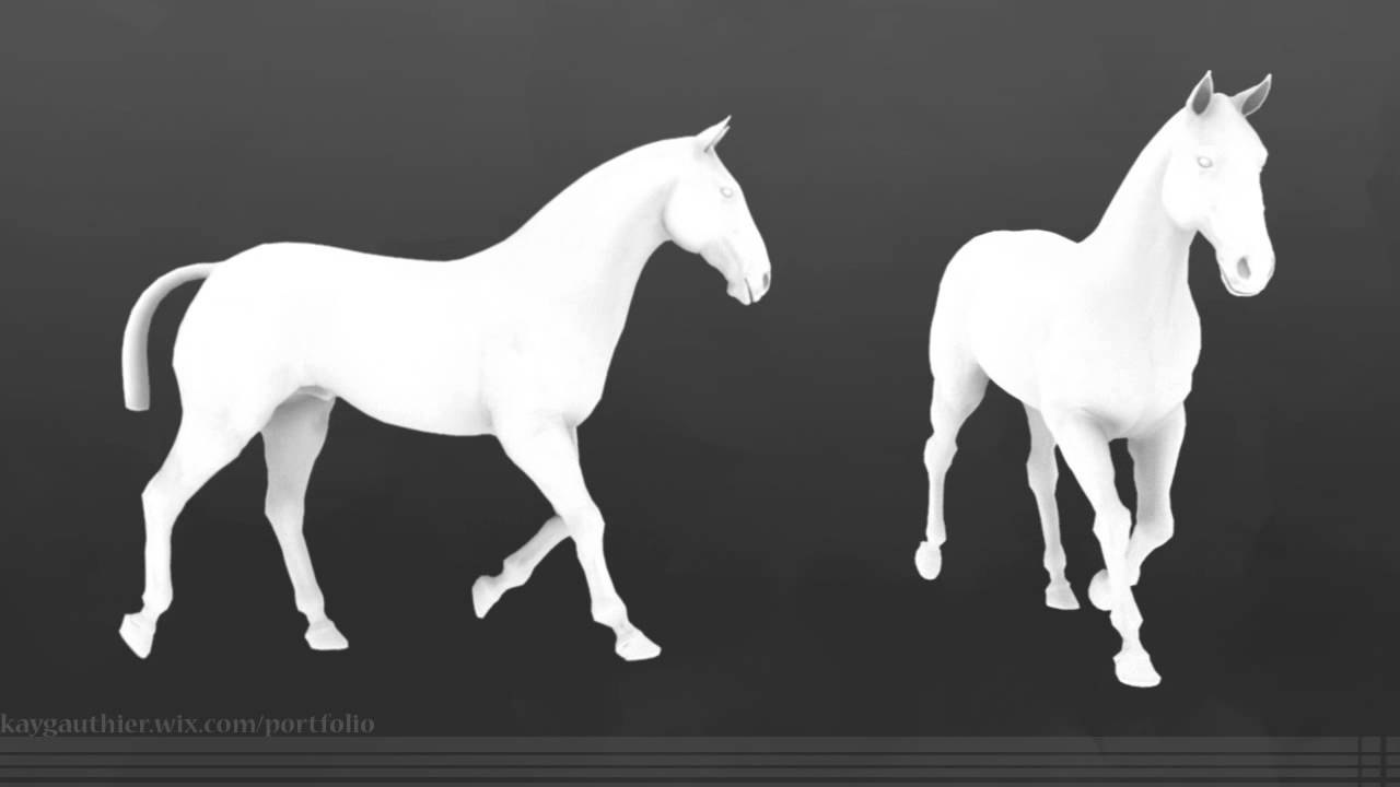 Horse Cycle Animation - YouTube