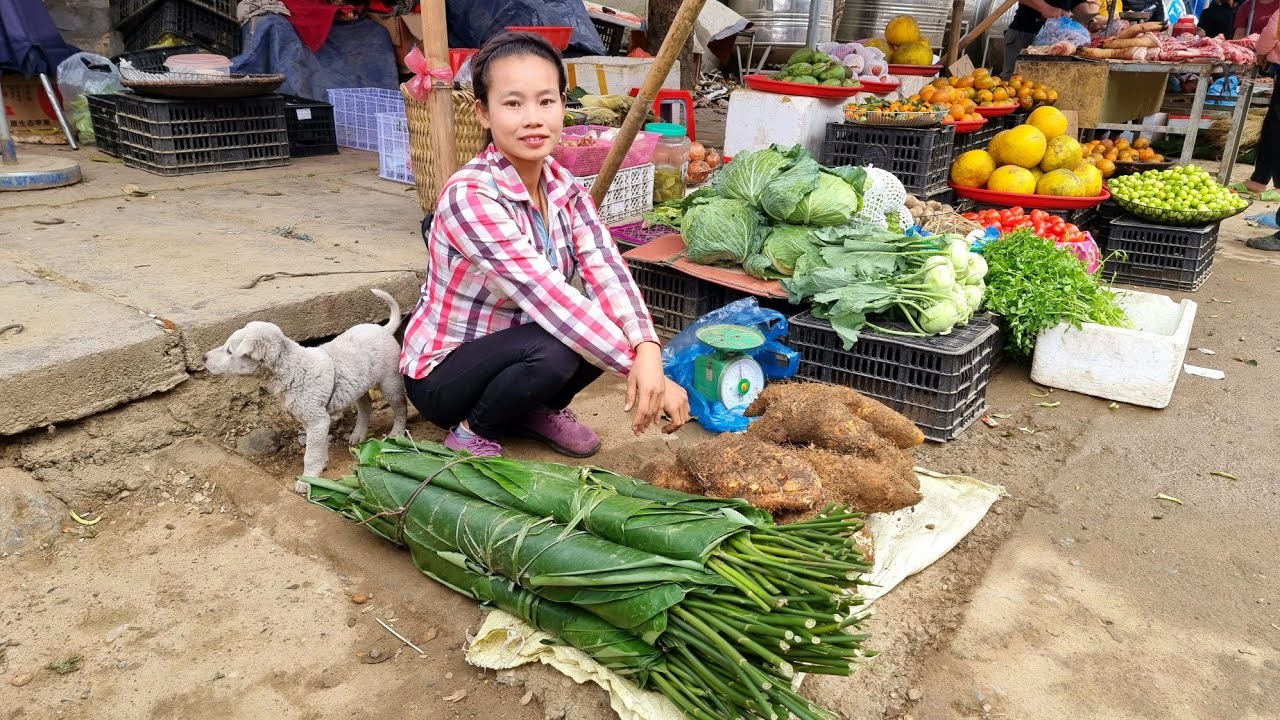 Harvest dong leaves and wild tubers and bring them to the market to ...
