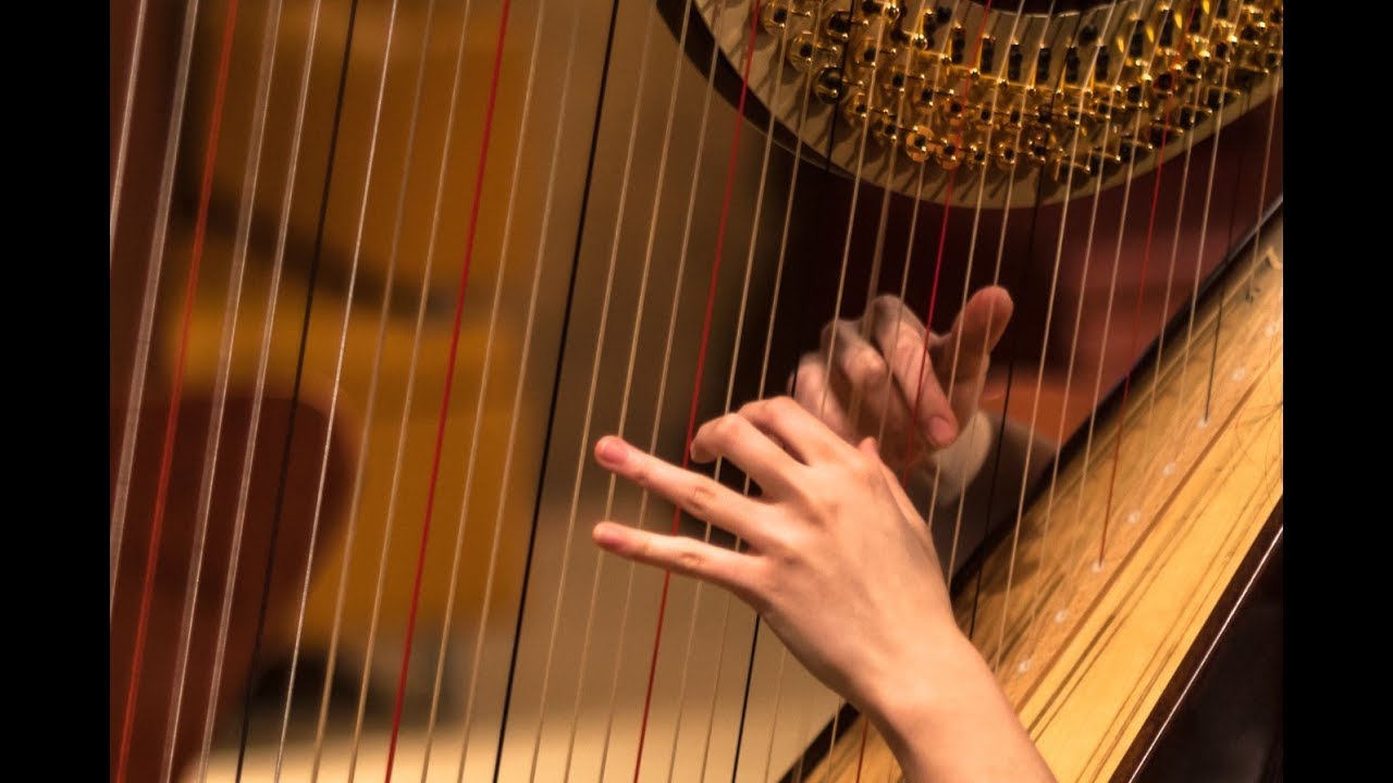 Chenyu Hua - Aliens on harp 【竖琴】华晨宇 - 异类 - YouTube