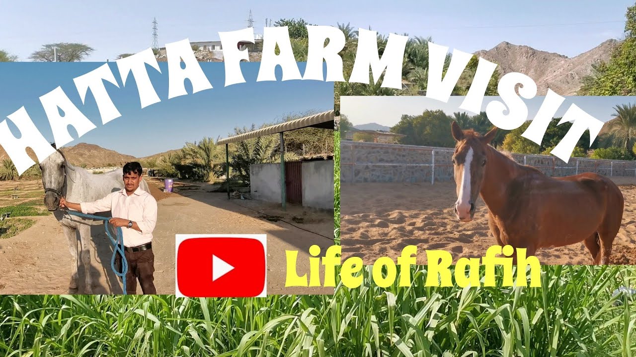 HATTA FARM VISIT - YouTube