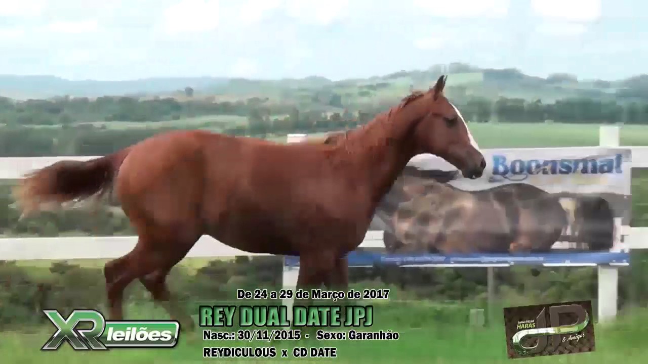 REY DUAL DATE JPJ - YouTube