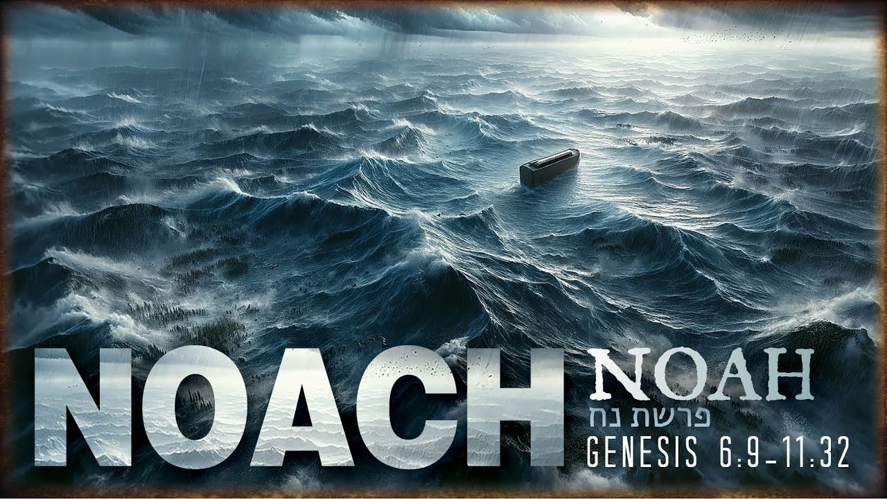 November 2, 2024 Torah Parsha Noach - YouTube