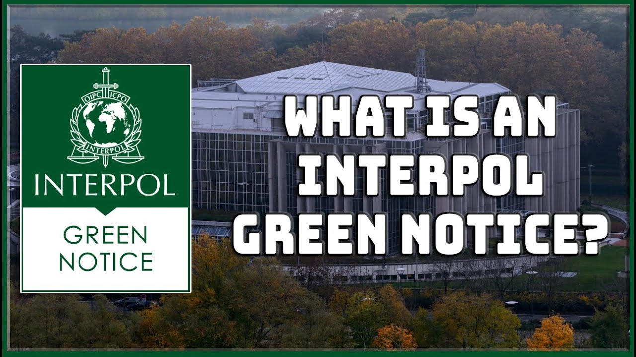 Meeting With Immigration Lawyer - Part I: Green Notices - YouTube