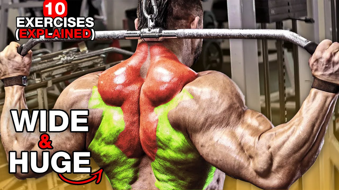Top 10 Back Exercises for a Powerful Physique | 24-7.is