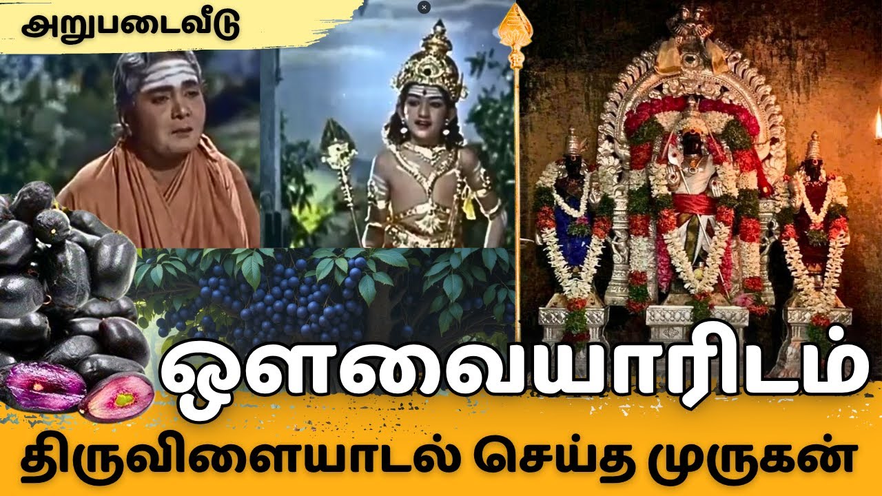🫐 சுட்ட பழம் வேண்டுமா சுடாத பழம் வேண்டுமா பழமுதிர்ச் சோலை முருகன் ...