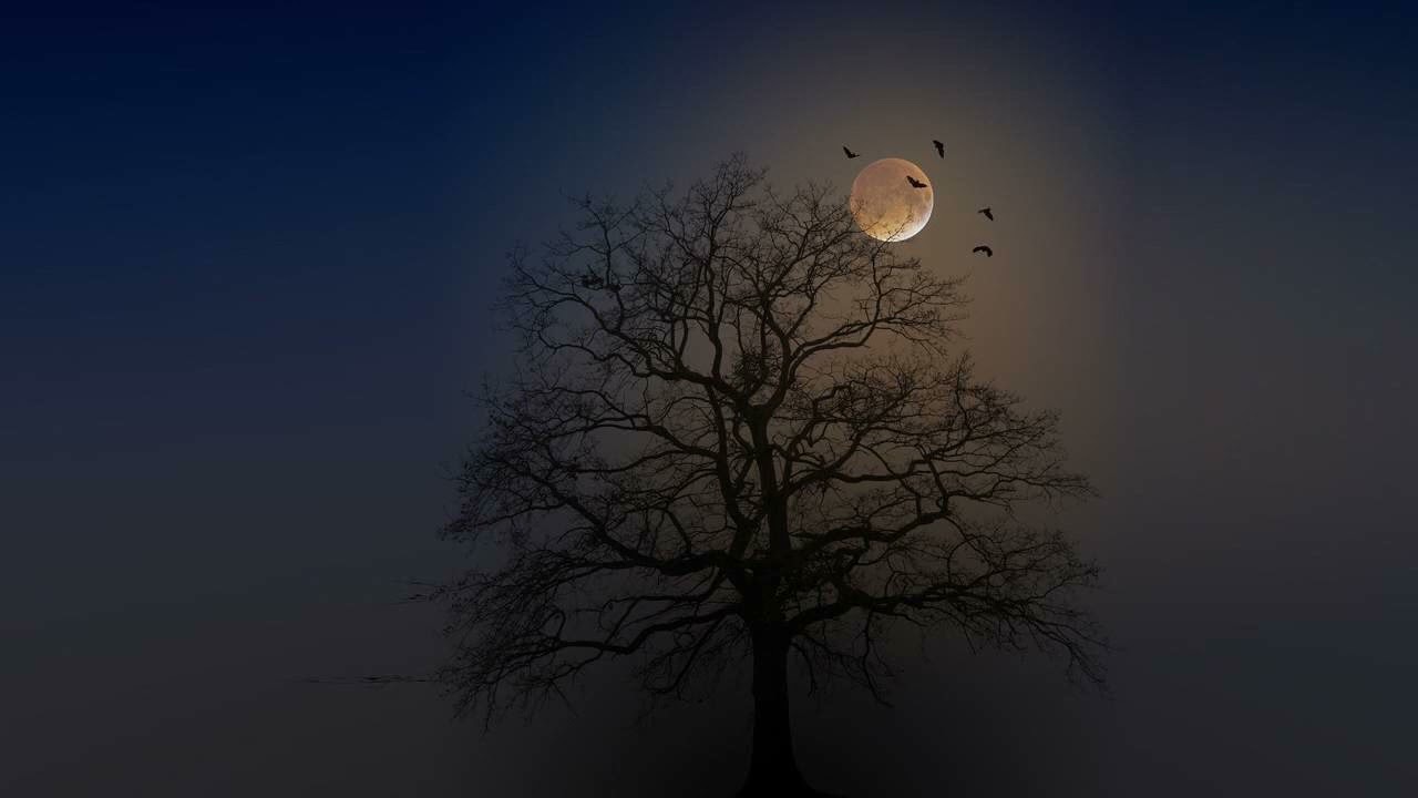 Creepy Vocal Theme | Haunting Horror Female Vocals | Background Music ...