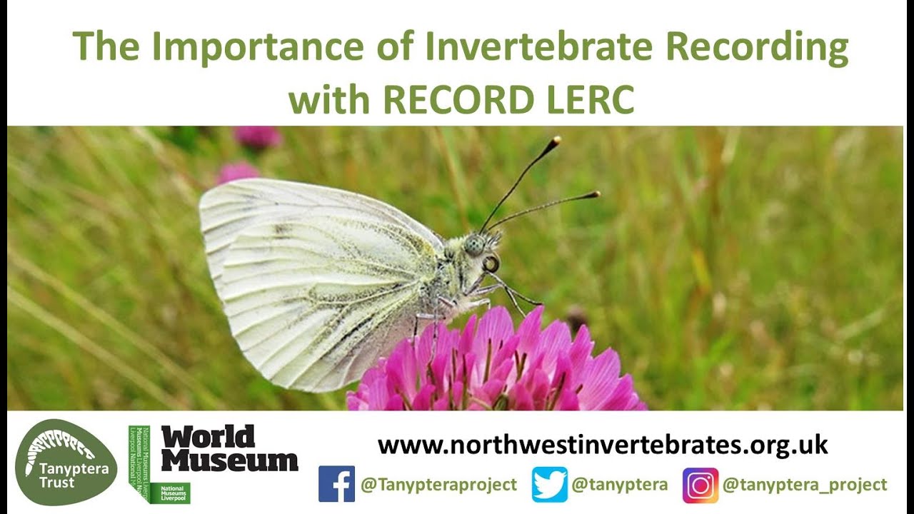 The Importance of Invertebrate Recording with RECORD LERC - YouTube
